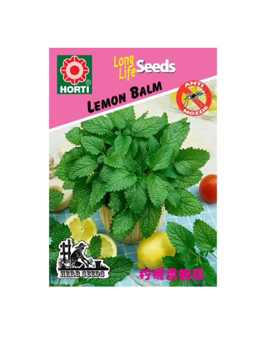 Lemon Balm 柠檬香脂草Seeds By HORTI